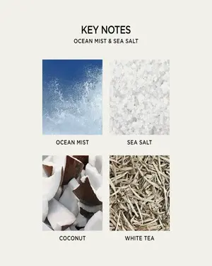 NEST NEW YORK Ocean Mist & Sea Salt Liquid Soap, 10 Oz