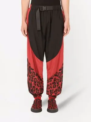 Dolce & Gabbana Panelled Leopard-print Trousers