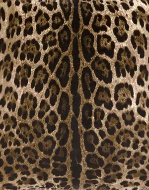 Dolce & Gabbana Velvet Cushion Medium