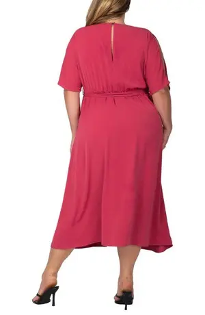 STANDARDS & PRACTICES V-neck Midi Dress - Rose