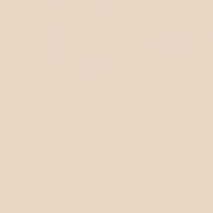 ANASTASIA BEVERLY HILLS Magic Touch Concealer - Neutral