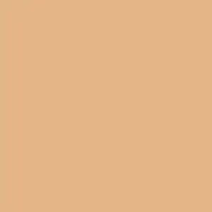 ANASTASIA BEVERLY HILLS Magic Touch Concealer - Neutral