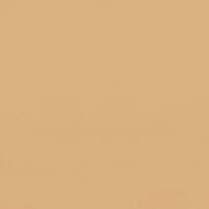 ANASTASIA BEVERLY HILLS Magic Touch Concealer - Neutral