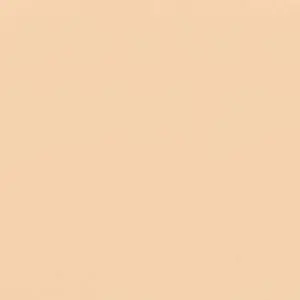 ANASTASIA BEVERLY HILLS Magic Touch Concealer - Neutral
