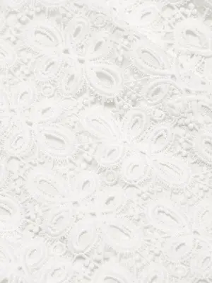Simkhai Guipure Lace Dress