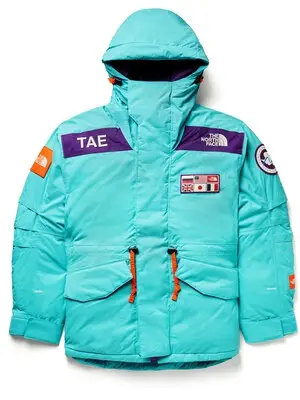 The North Face Trans-Antarctica Expedition Dryvent Hooded Down