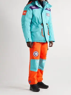 The North Face Trans-Antarctica Expedition Dryvent Hooded Down
