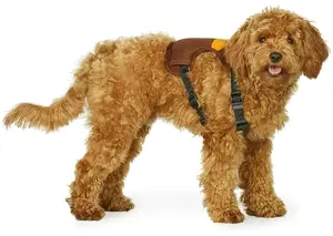 BAPE BAPE Brown Baby Milo Mesh Dog Harness - Bwx Brown