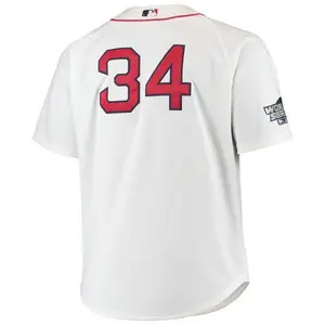 Mitchell & Ness David Ortiz Boston Red Sox Authentic Player Jersey