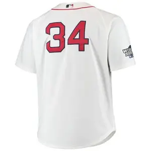 Mitchell & Ness David Ortiz Boston Red Sox Authentic Player Jersey