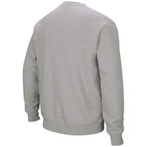 COLOSSEUM Northwestern Wildcats Arch & Logo Crew Neck Sweatshirt - Heather Gray