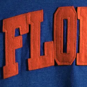 PRESSBOX Florida Gators Two-hit Canyon Long Sleeve T-shirt
