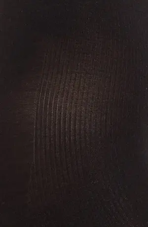 Natori Firm Fit Opaque Tights