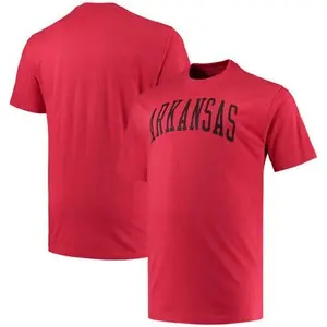 Champion Arkansas Razorbacks Big & Tall Arch Team Logo T-shirt - Cardinal
