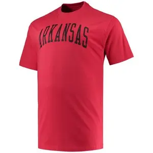 Champion Arkansas Razorbacks Big & Tall Arch Team Logo T-shirt