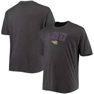 Champion Lsu Tigers Big & Tall Arch Over Wordmark T-shirt - Gray