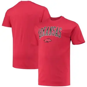 Champion Arkansas Razorbacks Big & Tall Arch Over Wordmark T-shirt - Cardinal