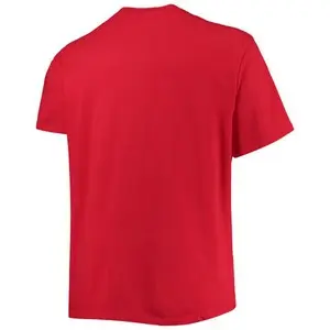 Champion Ohio State Buckeyes Big & Tall Arch Over Wordmark T-shirt