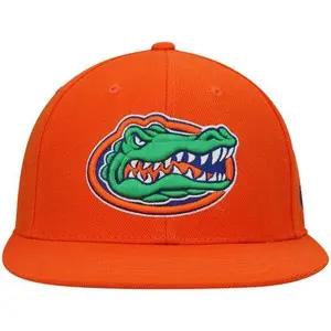 Top Of The World Florida Gators Fitted Hat - Orange