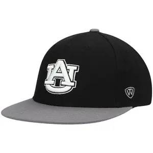 Top Of The World Gray Auburn Tigers Team Color Two-tone Fitted Hat - Black