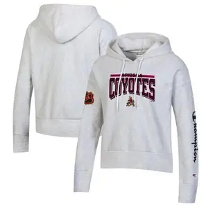 Champion Heathered Gray Arizona Coyotes Reverse Weave Pullover Hoodie - Heather Gray