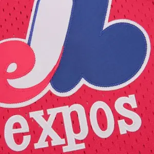 Mitchell & Ness Tim Raines Montreal Expos Batting Practice Jerseyred
