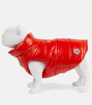 Moncler Poldo Dog Couture Dog Coat
