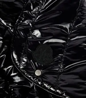 Moncler 6 1017 Alyx 9sm Dog Coat