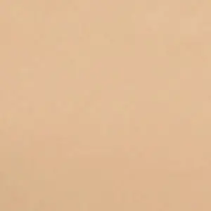 LANCOME Teint Idole Ultra Wear All Over Concealer - Neutral