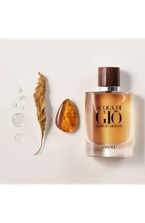 ARMANI Acqua Di Gio Absolu Eau De Parfum Fragrance