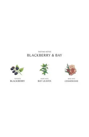 JO MALONE LONDON™ Blackberry & Bay Cologne