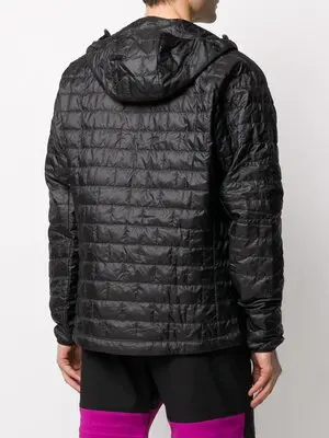 Patagonia Hooded Padded Jacket