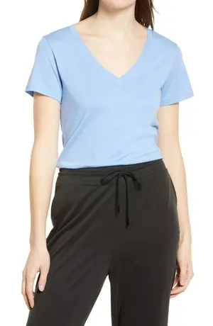 Nordstrom Women's Nordstrom Everyday V-Neck T-Shirt Blue Cornflower