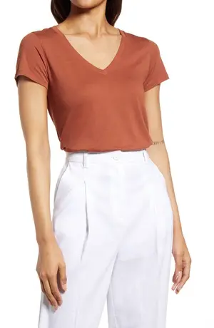 Nordstrom Women's Nordstrom Everyday V-Neck T-Shirt Brown