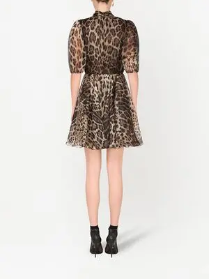 Dolce & Gabbana Leopard-print Organza Mini Dress