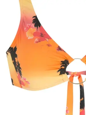 AMIR SLAMA Ilha De Hibiscus Bikini Set