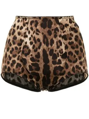 Dolce & Gabbana Leopard-print High-waisted Briefs - Brown