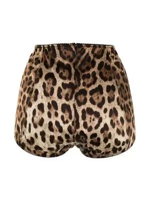 Dolce & Gabbana Leopard-print High-waisted Briefs - Brown