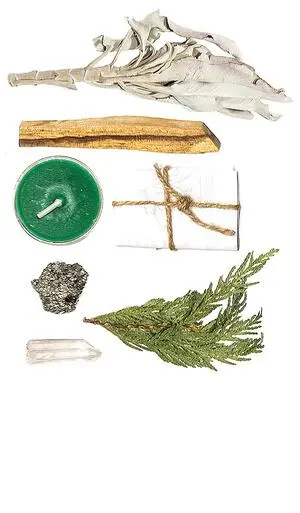 J. SOUTHERN STUDIO Wealth & Abundance Ritual Kit Mini In Green