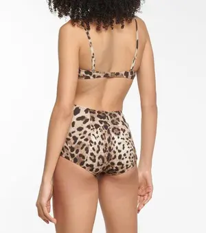 Dolce & Gabbana Leopard-print Bikini Top - Beige