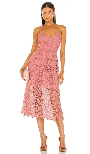 Astr The Label Lace A-line Midi Dress In Mauve
