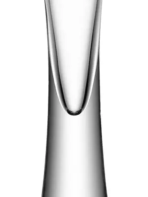 LSA INTERNATIONAL Moya Two-piece Champagne Flute