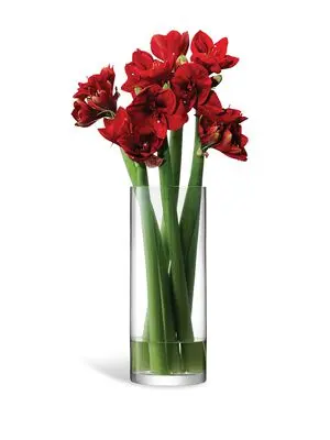 LSA INTERNATIONAL Column Large Glass Vase