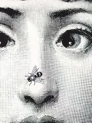 FORNASETTI Ape Photograph-print Cushion - Black