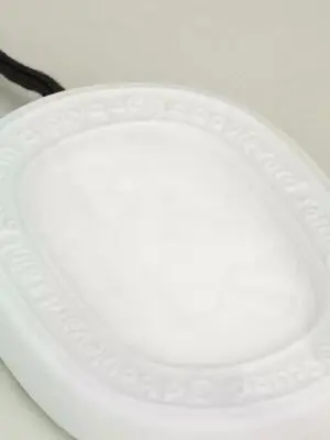 DIPTYQUE Baies Oval Scent Wax