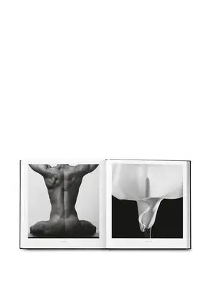 PHAIDON PRESS Robert Mapplethorpe
