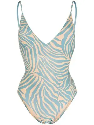 Anjuna Zebra-print One-piece Swimsuit