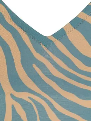 Anjuna Zebra-print One-piece Swimsuit