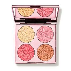 By Terry Brightening Cc Palette