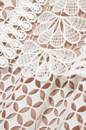 SELF-PORTRAIT Off-the-shoulder Guipure Lace Mini Dress
